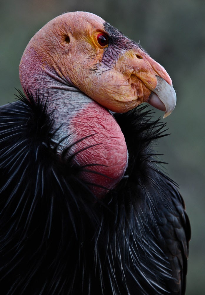 2015 Winning Photos of the National Park Photo Contest