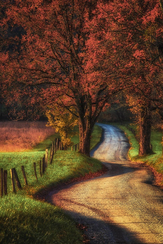 2015 Winning Photos of the National Park Photo Contest