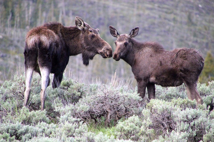 2015 Winning Photos of the National Park Photo Contest