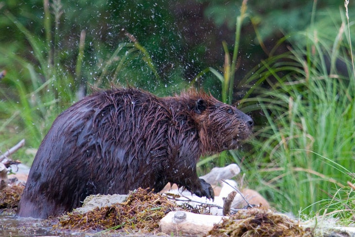 2016 Winning Photos of the National Park Photo Contest